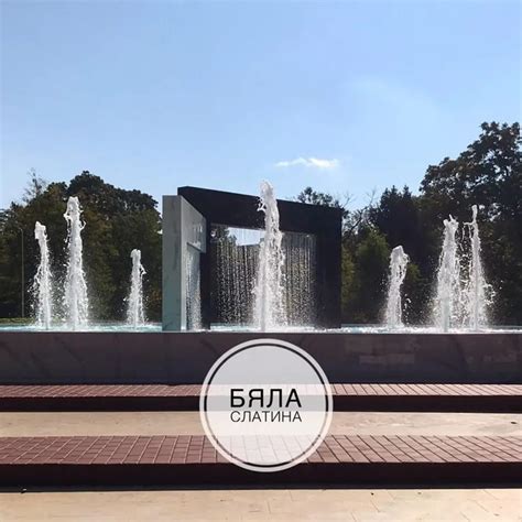 Б СЛАТИНА ПРОДАВАМ КУПУВАМ ПОДАРЯВАМ