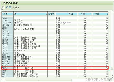销售订单抬头文本无法维护问题sapsd Csdn专栏 销售订单抬头文本无法维护问题sapsd Csdn专栏