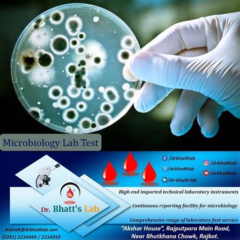 Drbhatts Lab Offers Comprehensive Microbiological Testing Including General Bacteriology
