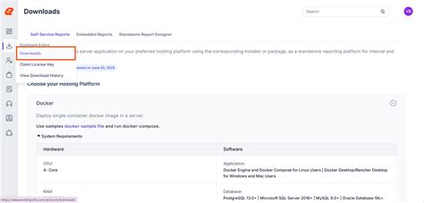 Download And Installation Standalone Report Designer