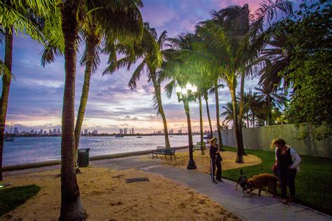 Maxwell Rasche Brings Soul To Miami Beach Jetset Times