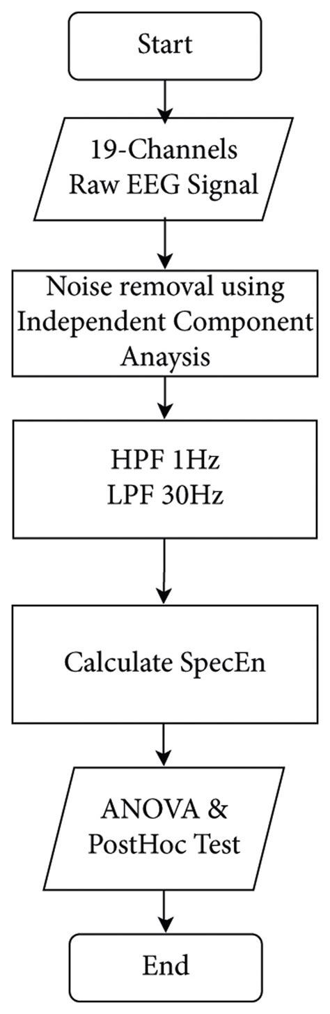 EEG Processing Stage In This Study Download Scientific Diagram