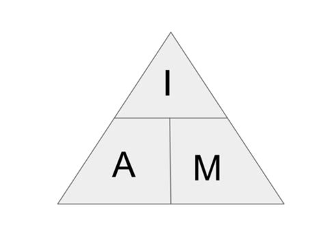 Cell Structure And Microscopy A Level Bio Flashcards Quizlet