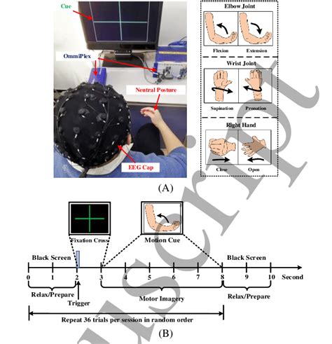 Motor Imaginary Tasks And Experimental Paradigm Setup A Experimental