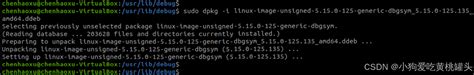 获取ubuntu 22 04 1 对应的vmlinux文件 怎么找ubuntu的vmlinux csdn博客
