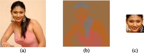 A Rgb Image B Ycbcr Image And C Roj Of Image Download