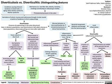 Diverticulosis Vs Diverticulitis Distinguishing Features Calgary Guide