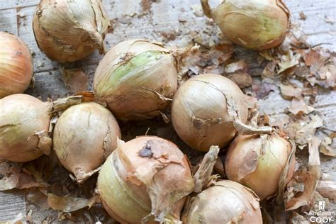 간단한 양파 보관법