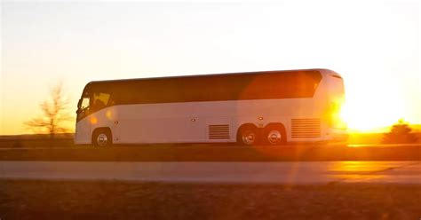 Brazen Couple Engage In Sex Act On COACH Leaving Fellow Travellers Shocked Mirror Online