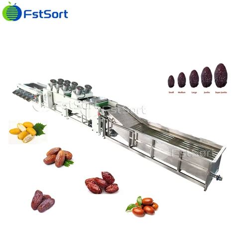 Dates Grading Machine Jujube Washing Sorting Dates Washing Machine
