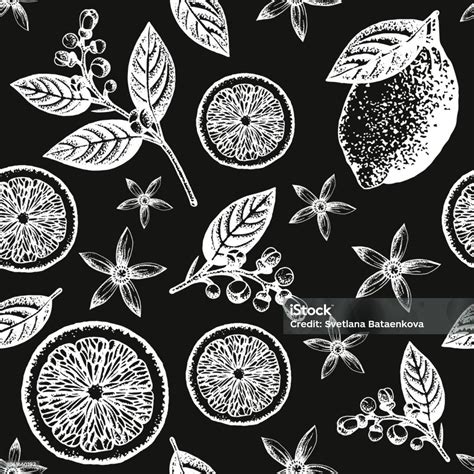 감귤 류의 원활한 패턴입니다 레몬 과일 조각 드로잉 핸드 나뭇잎 꽃과 싹 분기 흑인과 백인 자연 배경입니다 빈티지 꽃 패턴입니다 벡터 일러스트입니다 온통 인쇄 0명에 대한