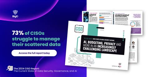 Data Discovery And Classification Tackling The CISO S Visibility Challenge BigID