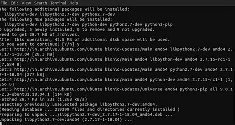 How To Install Pip Packages
