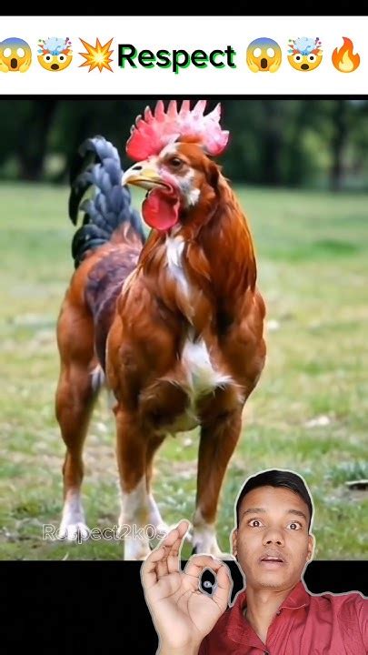 Respect 😱💯🤯 Ll Shorts Ytshorts Youtube