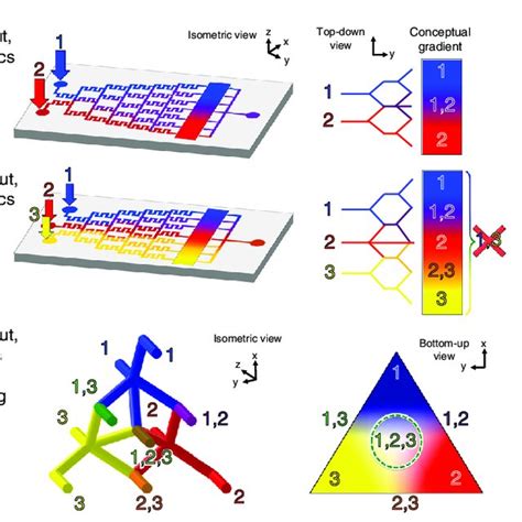 Pdf 3d Microfluidic Gradient Generator For Combination Antimicrobial
