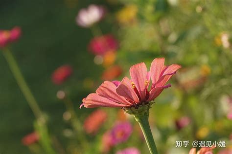 拒绝内耗，是生活最好的解药 知乎