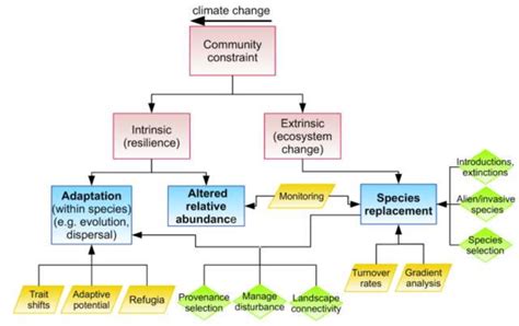 The Conceptual Scientific Framework For Ecosystem Adaptation To Climate