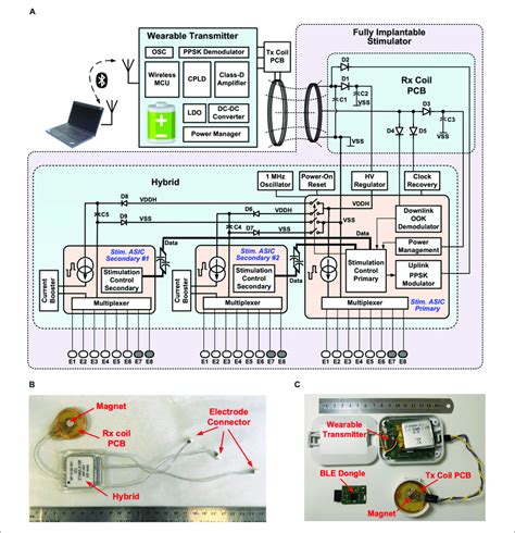 Wireless Fully Implantable Multi Channel Stimulator A System Download Scientific Diagram