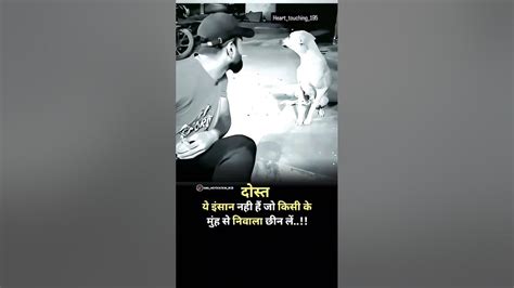 Emergencyequipment Youtube