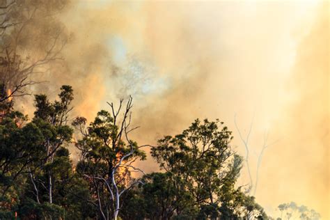 Onboard Ai For Fire Smoke Detection Using Hyperspectral Imagery An Emulation For The Upcoming