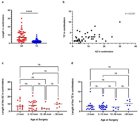The Length Of The Transition Zone In Patients With Rectosigmoid Hirschsprung Disease Pmc