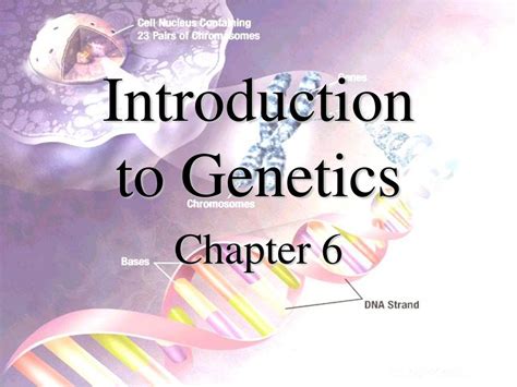 Introduction To Genetics Ppt Download