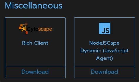 Runtime Codelogic Documentation