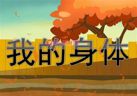 小班健康课件ppt《我的身体》ppt课件图片 幼儿园课件网