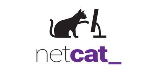 使用 Nc 命令检查远程端口是否打开 Linuxstory