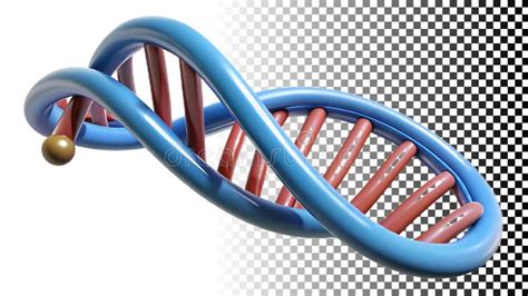 Double Helix Dna Strand Genetic Code Science And Biology Png