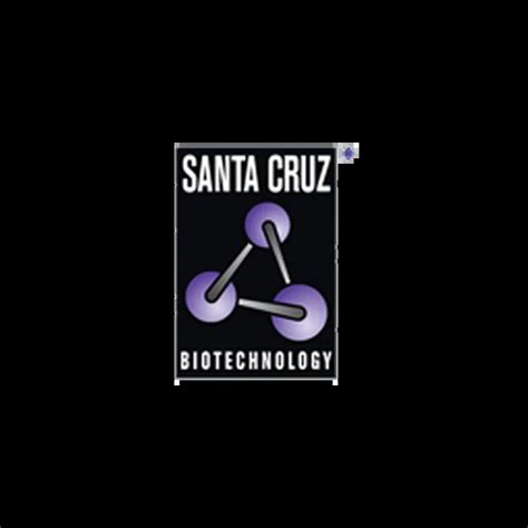 Western Blot Stripping Buffer