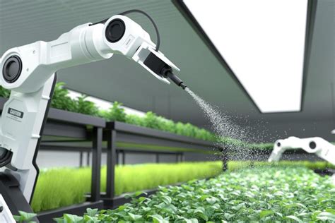 Artificial Intelligence In Farming To Address Global Food Demand Signpost News