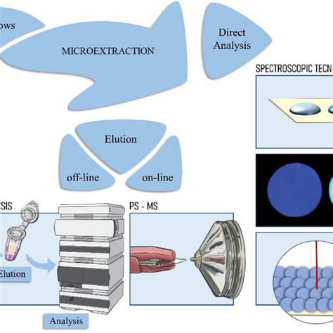 Schematic Representation Of The Main Workflows That Can Be Used To Download Scientific Diagram