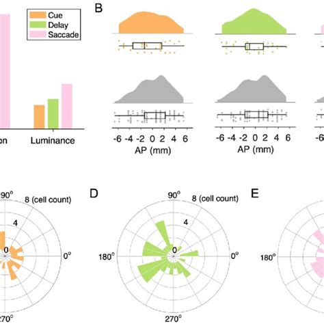 Neuronal Coding In The Memory Guided Saccade Task A Percentages Of Download Scientific Diagram