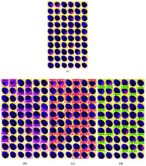 A The Original Images Of 60 Eggs Were Used To Test The Deep Learning Download Scientific