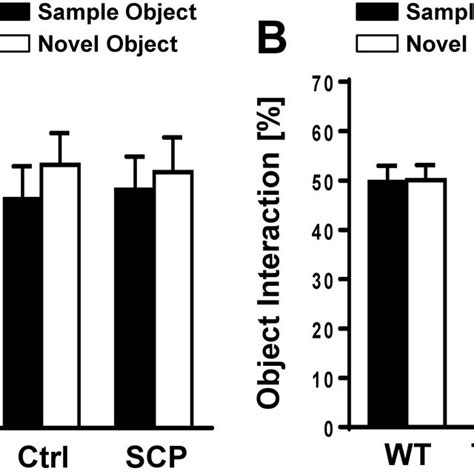 Novel Object Recognition A Both Control Ctrl And Download Scientific Diagram
