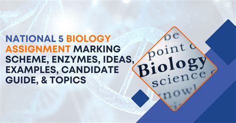 National 5 Biology Assignment Marking Scheme Example