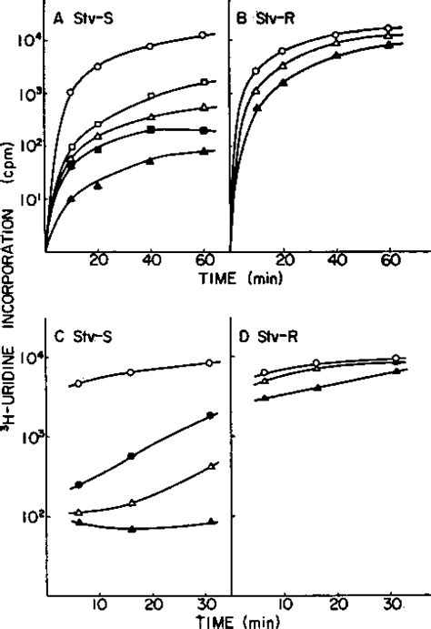 Figure 1 From Rna Polymerase Mutants Of Escherichia Coli I Mutants Resistant To Streptovaricin