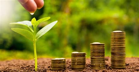 An Inside Look Into Ethical Investment Funds CricFor