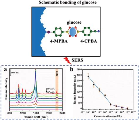 Sers Of Glucose With Various Concentration A Raman Spectra Of Glucose
