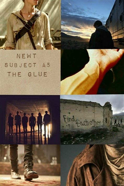 Newt Aesthetic