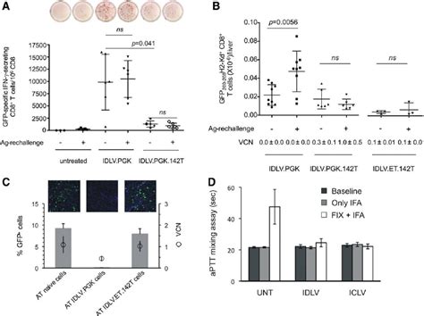 Transgene Specific Tolerance After Idlv Liver Gene Transfer A