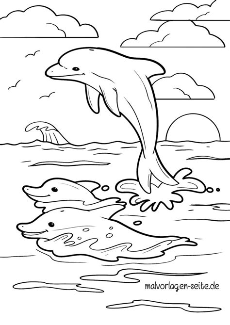 Malvorlagen Delfine Und Wassertiere Ausmalbilder Besten Bilder Von My Xxx Hot Girl