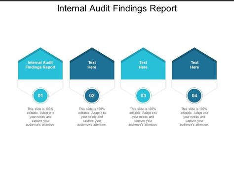 Internal Audit Findings Report Ppt Powerpoint Presentation Icon