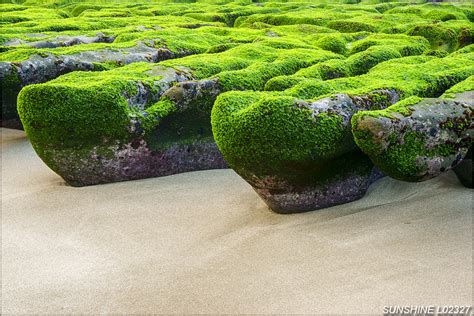 L02327 老梅 石槽 台北縣 石門鄉 老梅石槽 岩石 海藻 青苔 Taiwan Northern Coast 老… Flickr