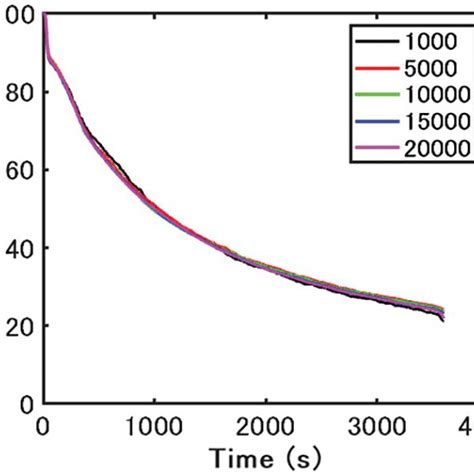 Ryozo Ooka Professor Full Doctor Of Philosophy The University
