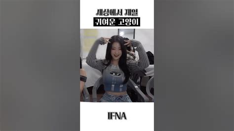 세상에서 제일 귀여운 고양이 Youtube