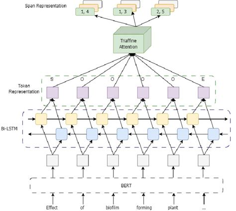 Figure 2 From Domain Adaptation In Nested Named Entity Recognition From