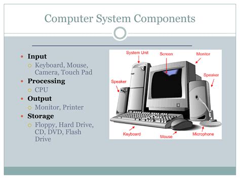 Solution Computer Hardware Basics Studypool