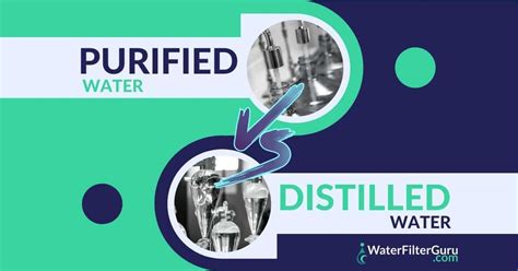 Whats The Difference Between Distilled And Purified Water Renew Physical Therapy